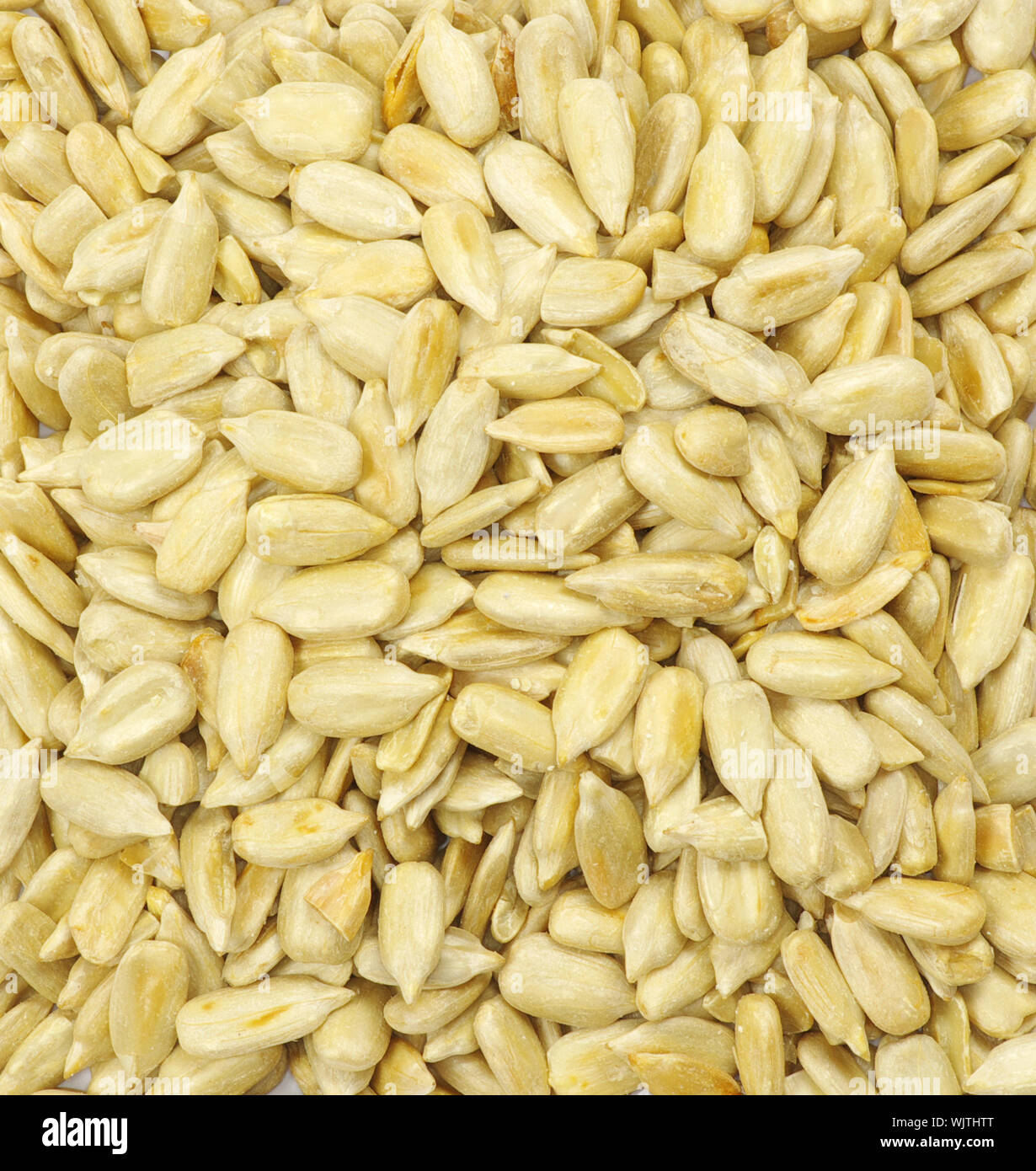 sunflower seeds isolated on white Stock Photo - Alamy
