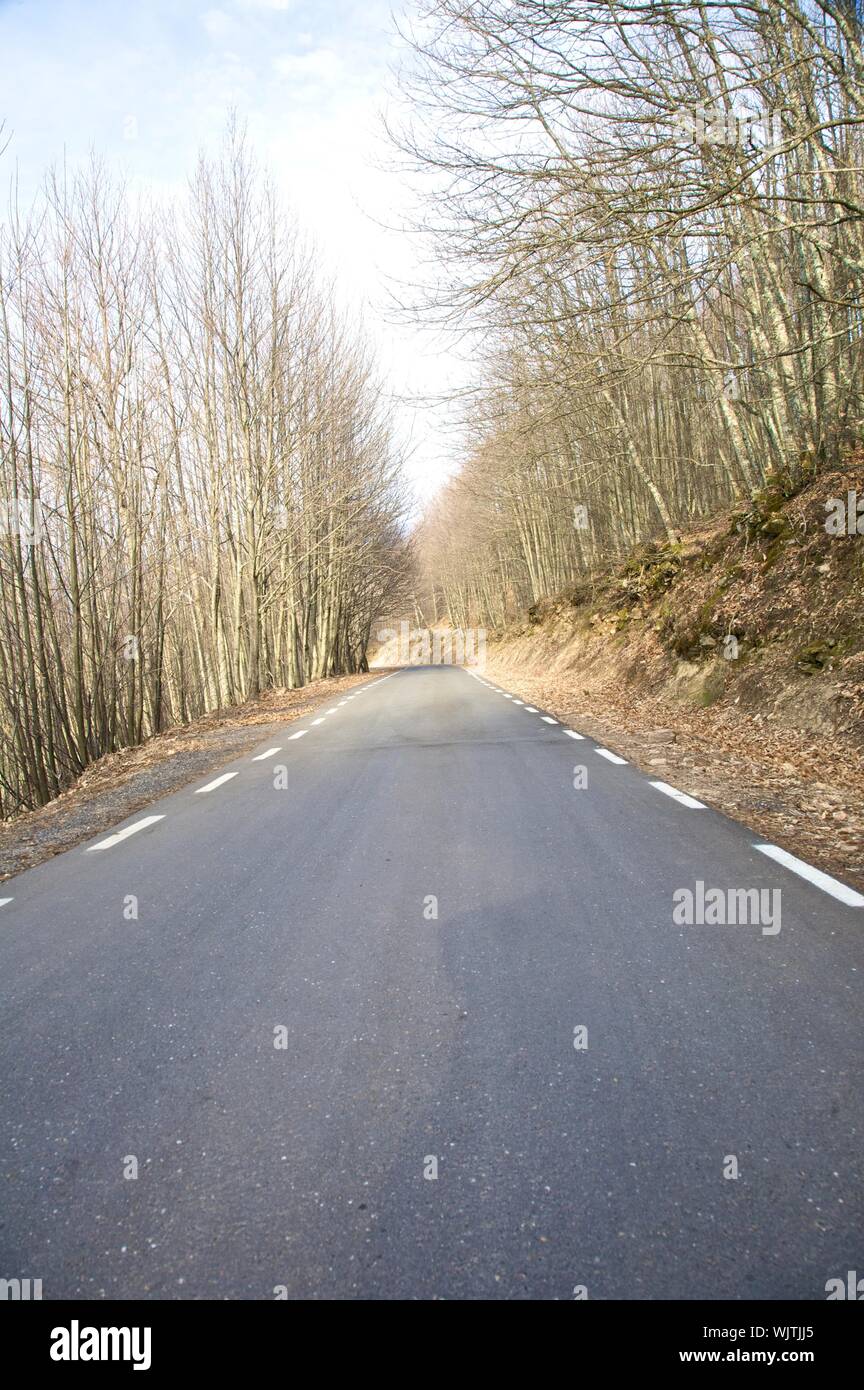 rural road at valley of jerte in caceres spain Stock Photo - Alamy
