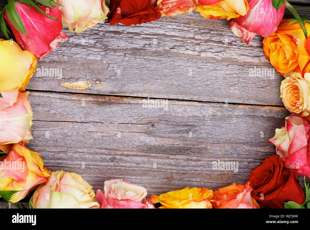 Orange ellipse hi-res stock photography and images - Alamy