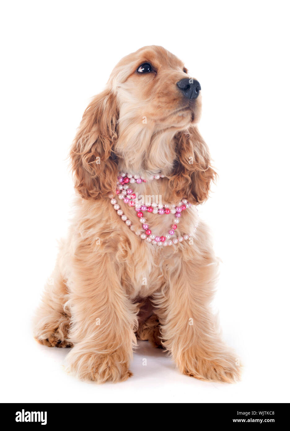 English jewelry Cut Out Stock Images & Pictures - Alamy