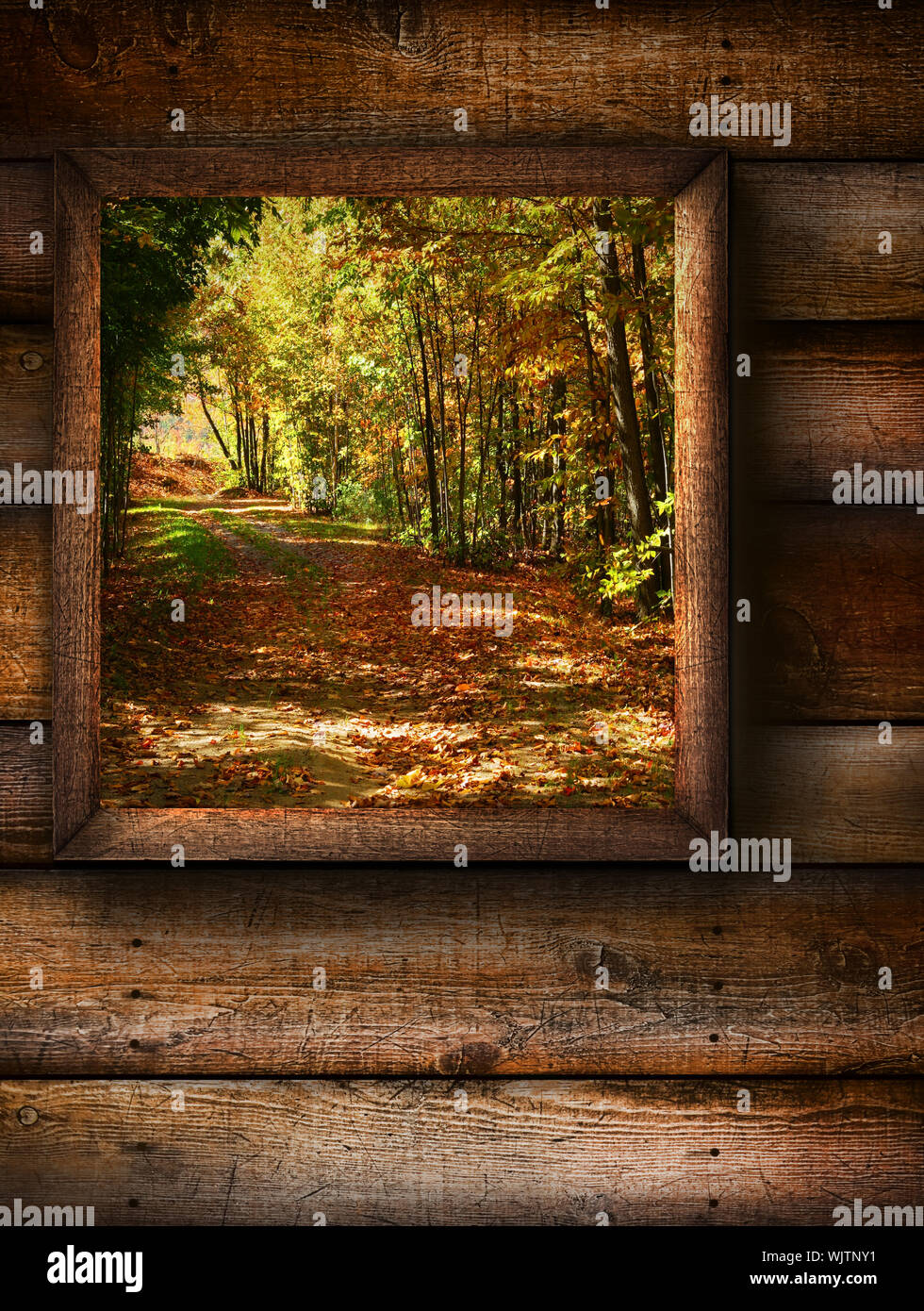 Pine wood textured background Stock Photo - Alamy