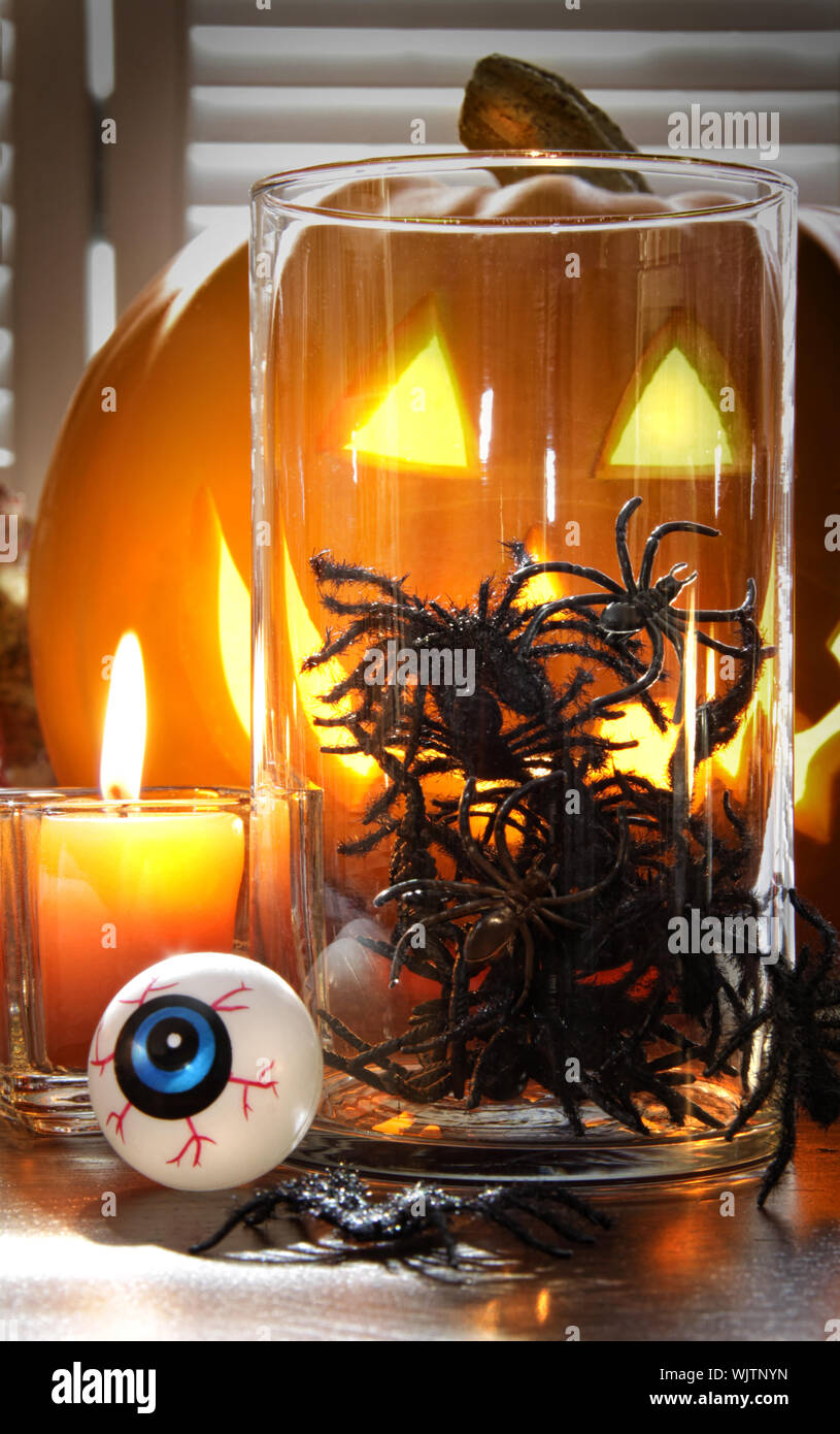 Decorative spiders in glass container for Halloween Stock Photo - Alamy