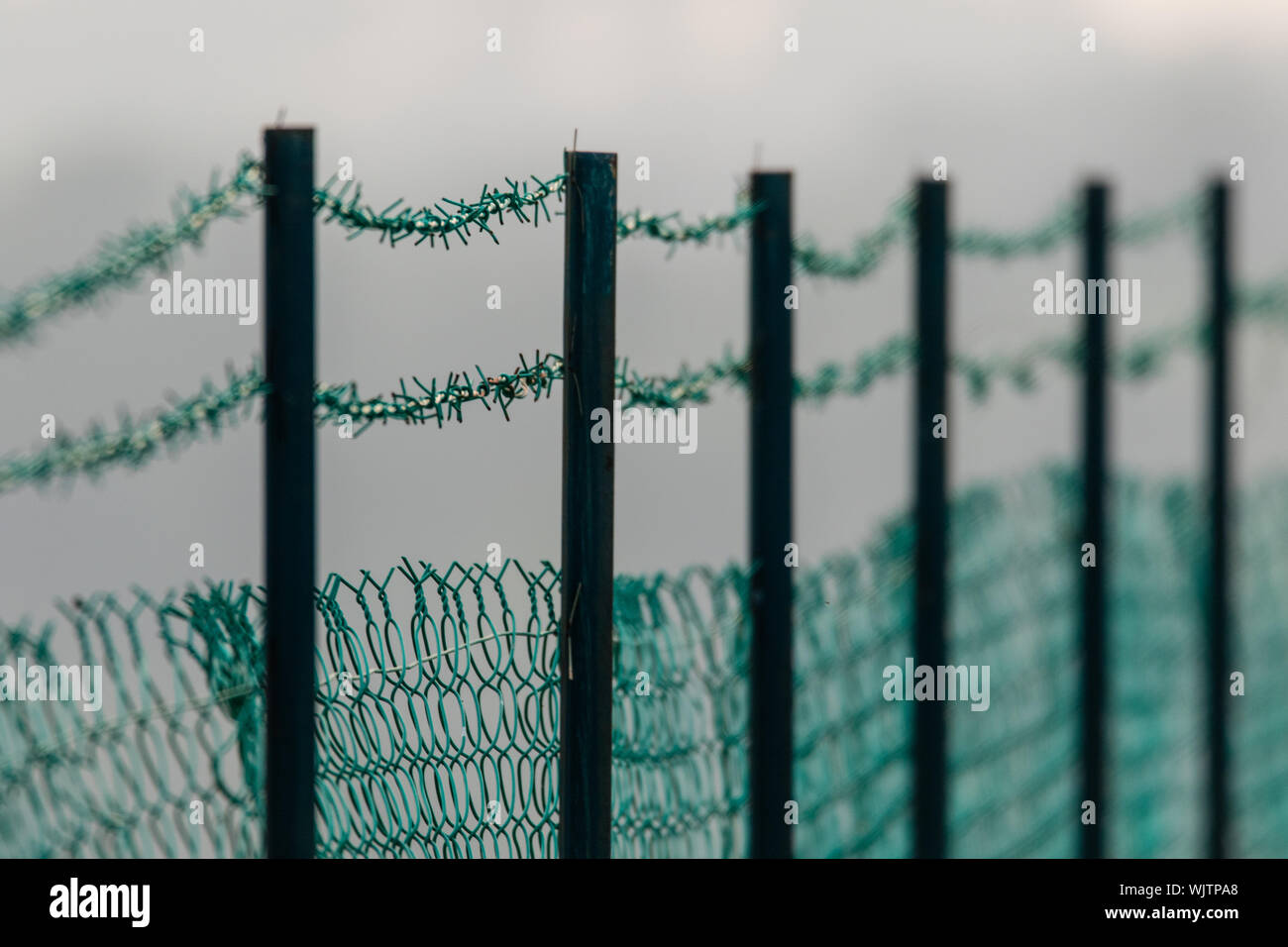 green wire fencing with blur effect Stock Photo - Alamy