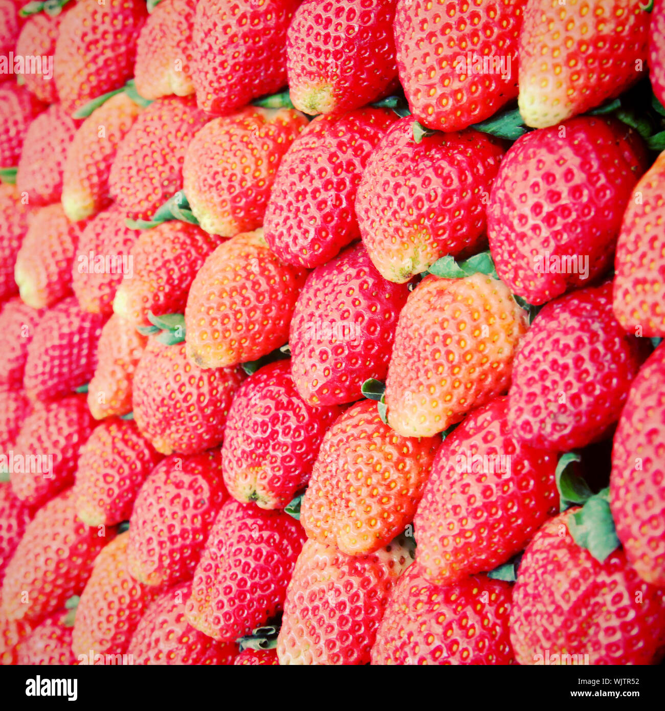 Nutrient filter hi-res stock photography and images - Alamy