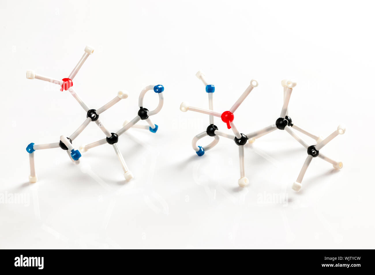 Structure of valine and aspartic amino acid molecules represented with ...