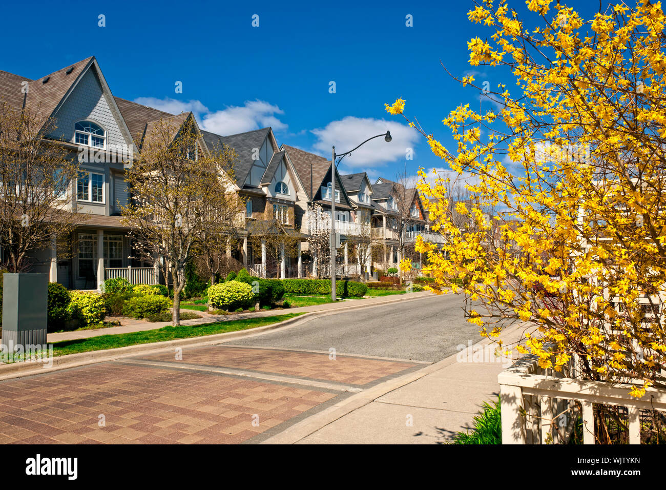 Row of houses on spring street in Toronto Canada Stock Photo - Alamy