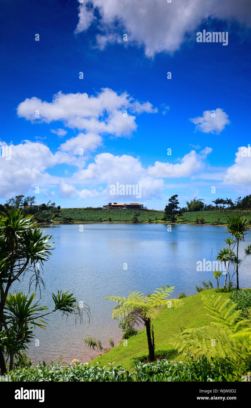 Beautiful landscape of eastern part of Mauritius Stock Photo - Alamy