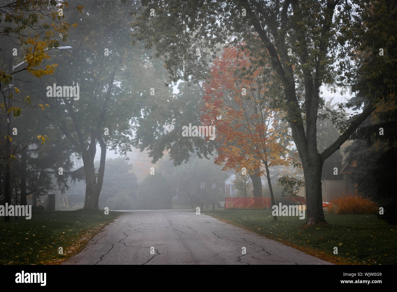 Foggy suburban street hi-res stock photography and images - Alamy