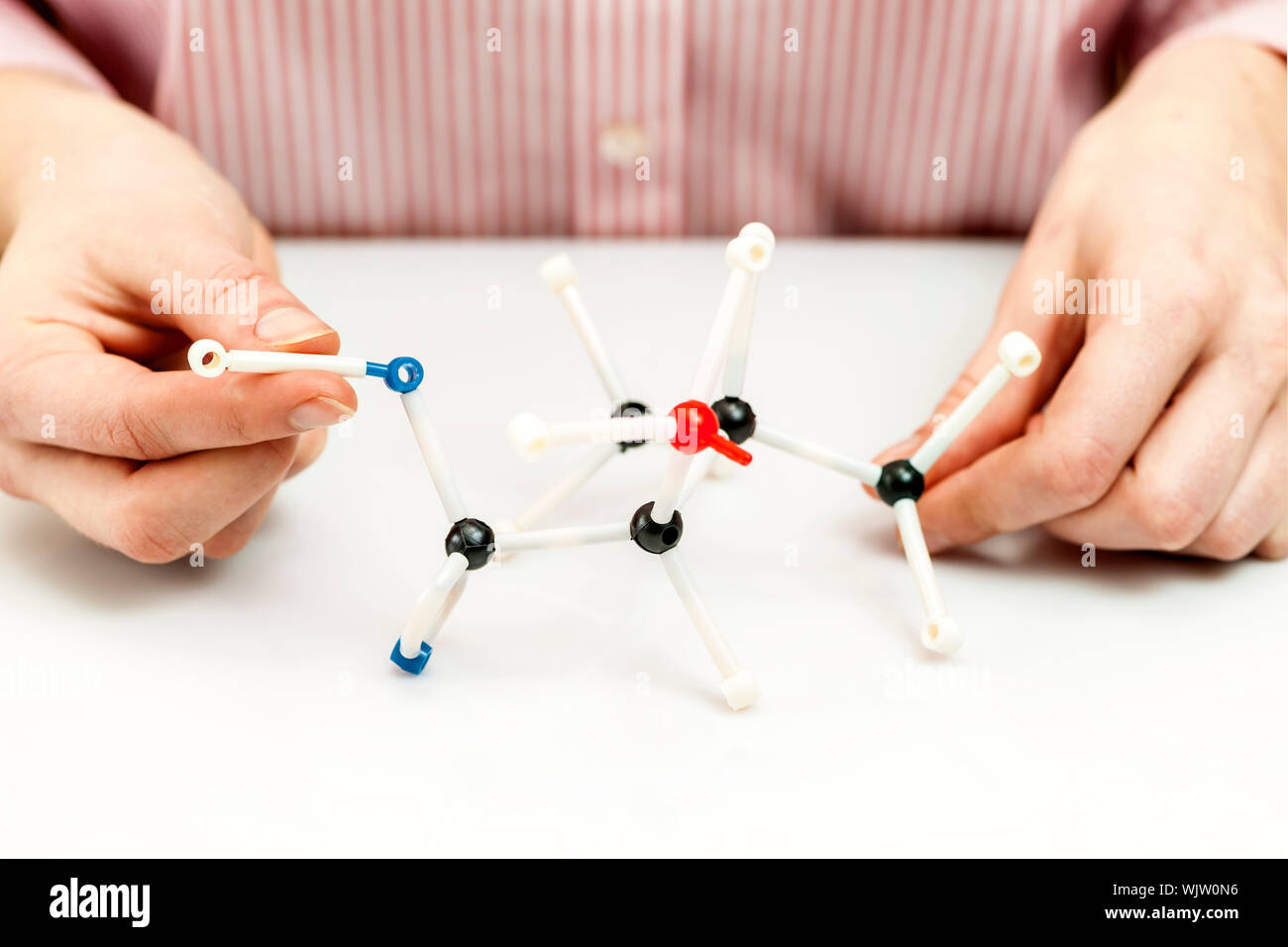 Hand of female student assembling amino acid molecule models for ...