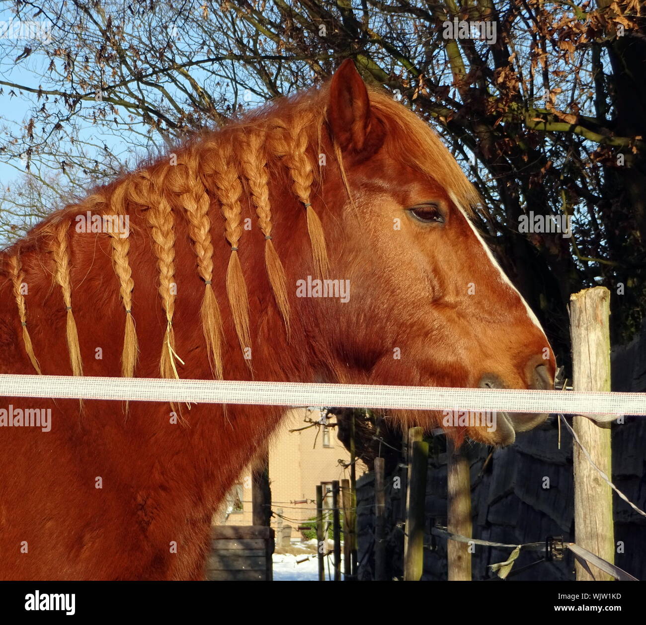 Braided fence hi-res stock photography and images - Alamy
