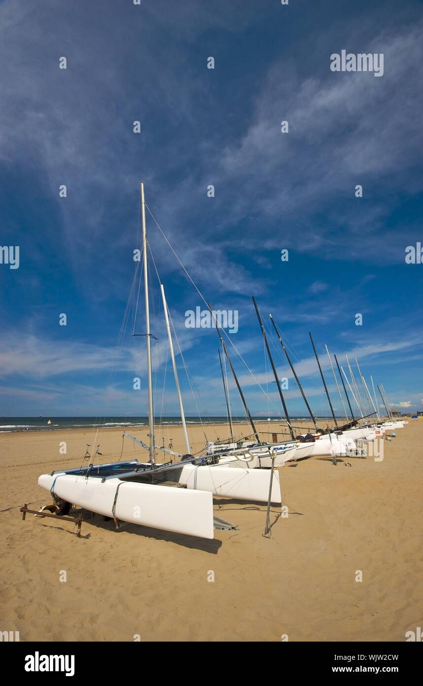 Catamaran vessels standing on a beach in Holland in summer Stock Photo ...