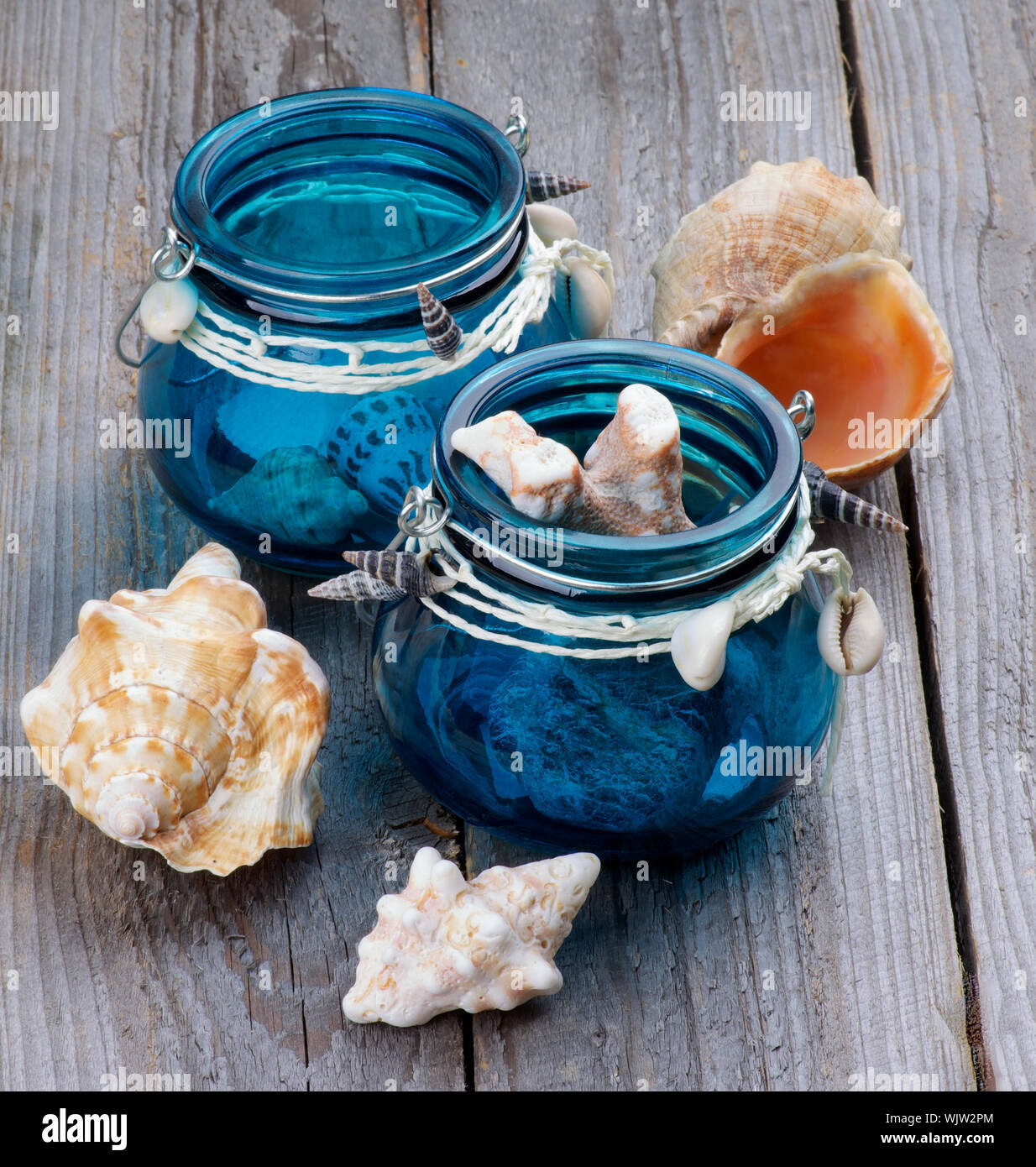 Collection of Sea Shells and Corals in Blue Glass Jars closeup on ...