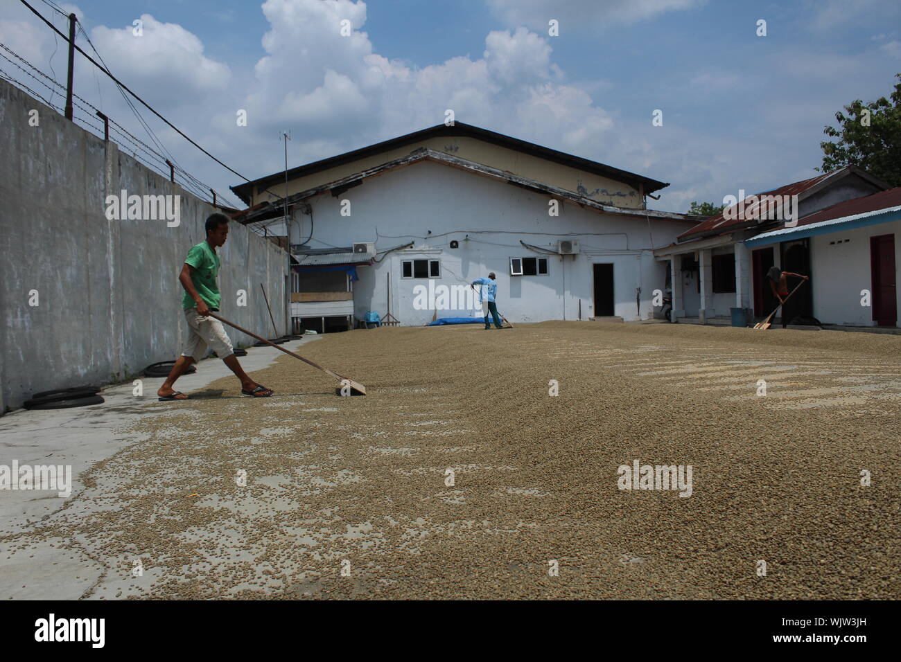Coffee picker hi-res stock photography and images - Alamy
