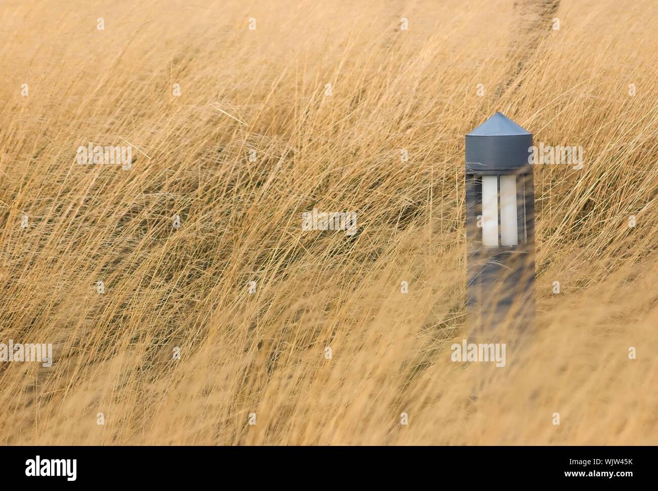 Garden lamp in a grass field Stock Photo - Alamy
