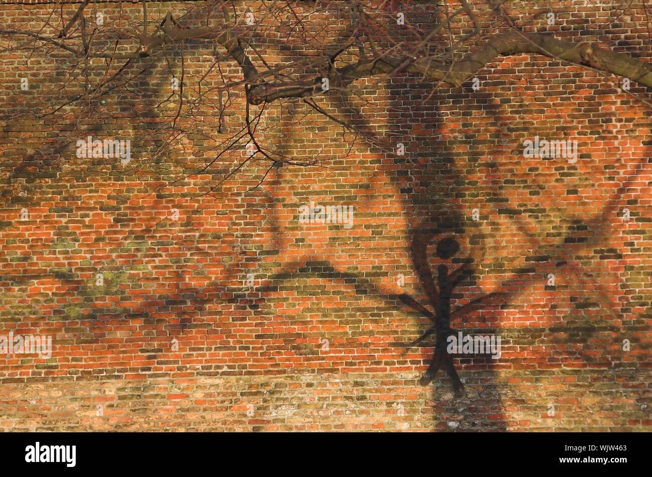 Red brick pattern with a tree shadow Stock Photo - Alamy