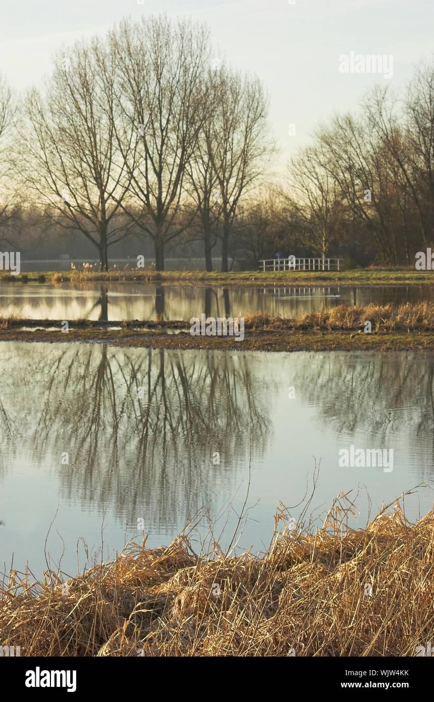 Dutch turf field in a nature park near Delft in early spring Stock ...