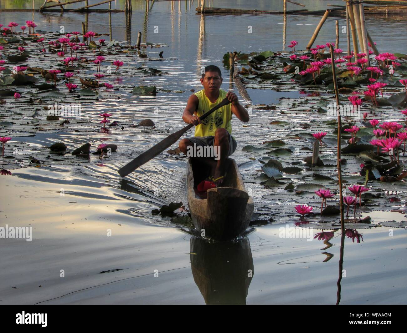 Indian rowing hi-res stock photography and images - Alamy