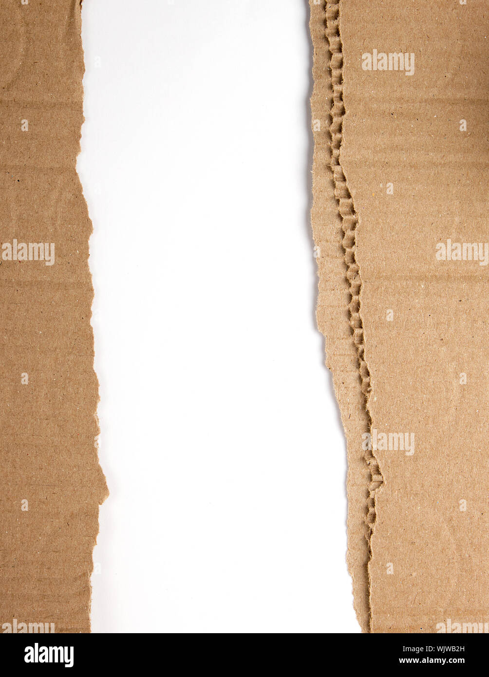 brown paper from the box, torn edge on a white background, copy space ...