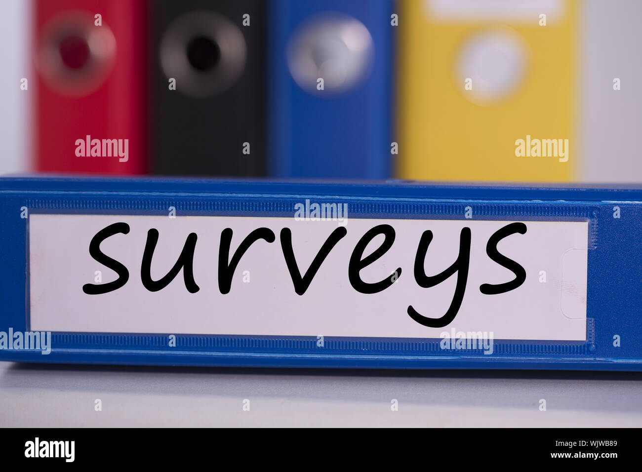The word surveys on blue business binder Stock Photo - Alamy