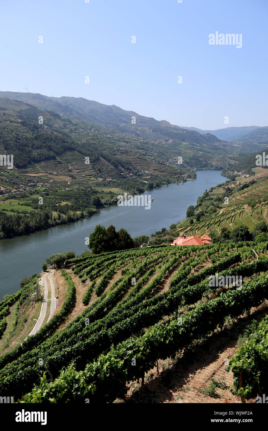Vineyards at river douro hi-res stock photography and images - Alamy