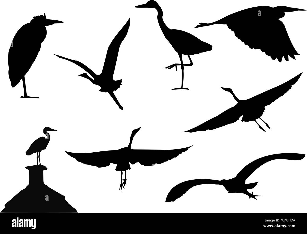 Rasterised version of a vector image of several silhouettes of wild ...