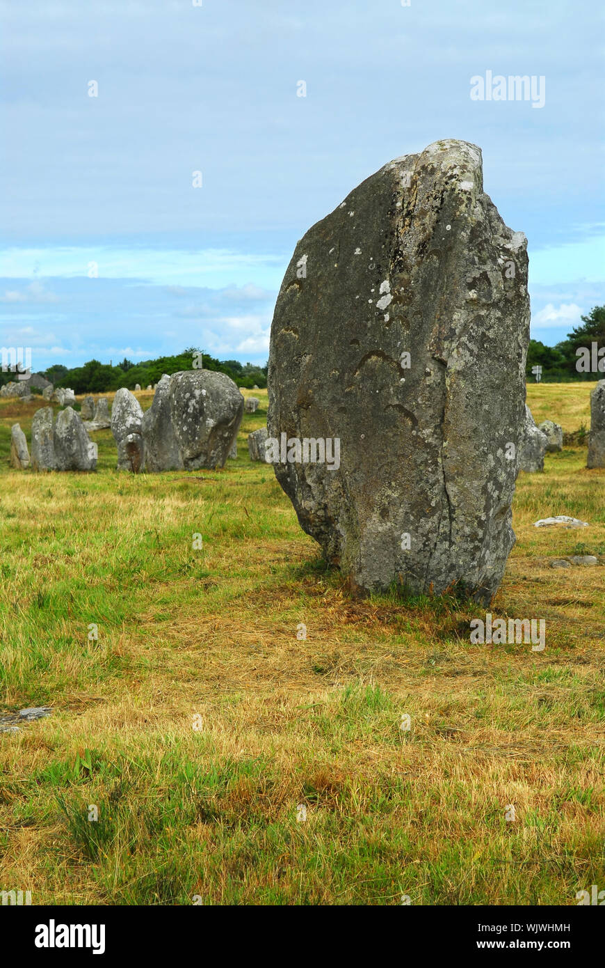 Prehistoric megalithic monuments menhirs in Carnac area in Brittany ...