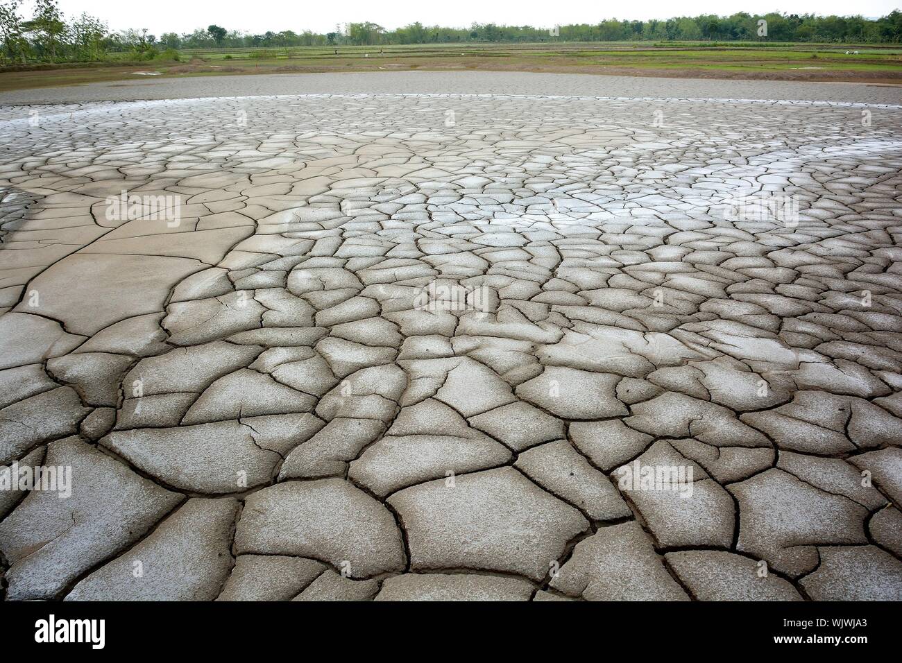 Drought land hi-res stock photography and images - Alamy
