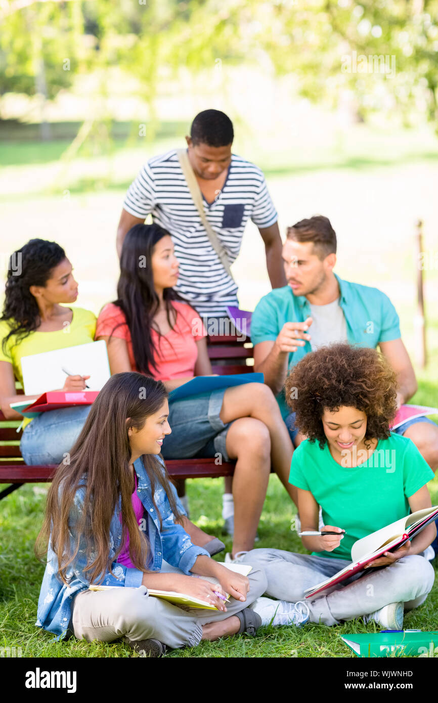 Group of university students studying on college campus Stock Photo - Alamy