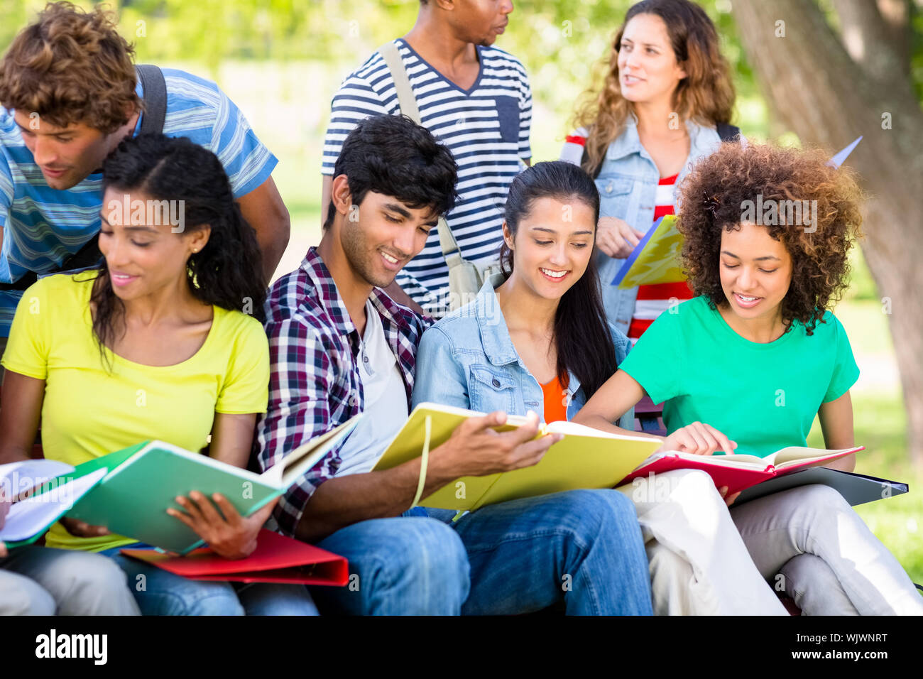 Young university students studying together on college campus Stock ...