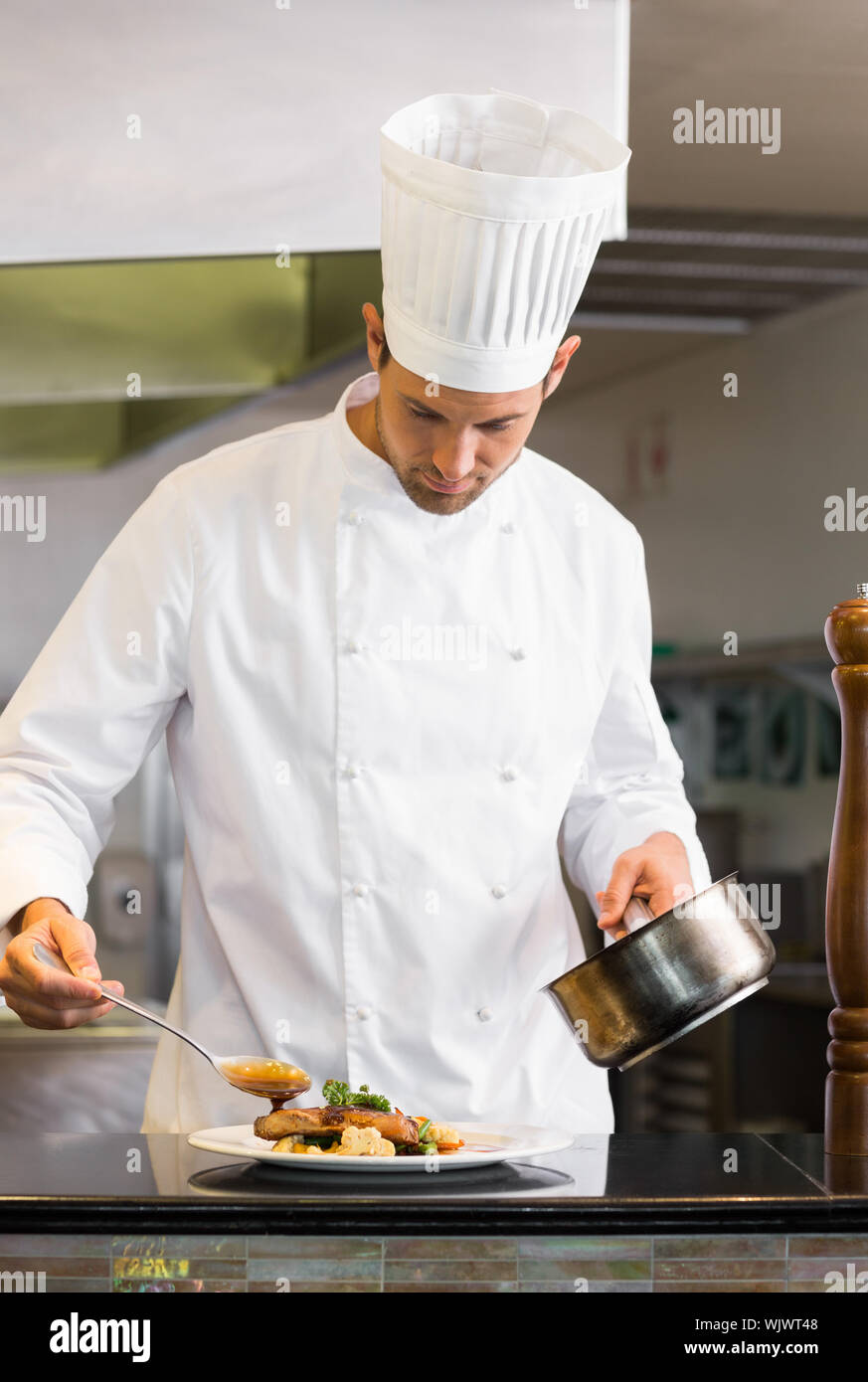 Portrait of a concentrated male chef garnishing food in the kitchen ...