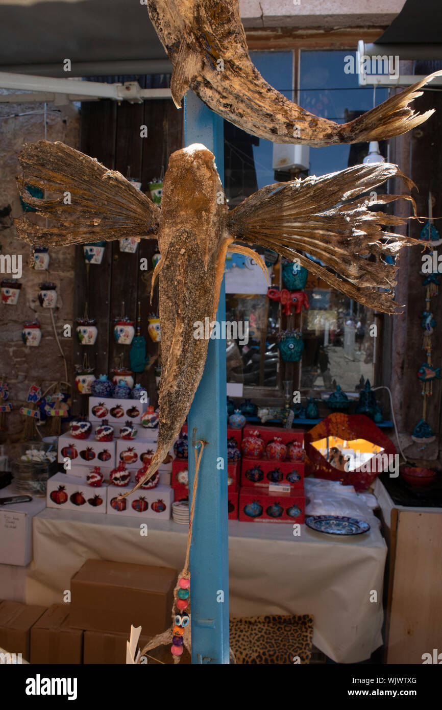 Fish dried taiwan hi-res stock photography and images - Alamy