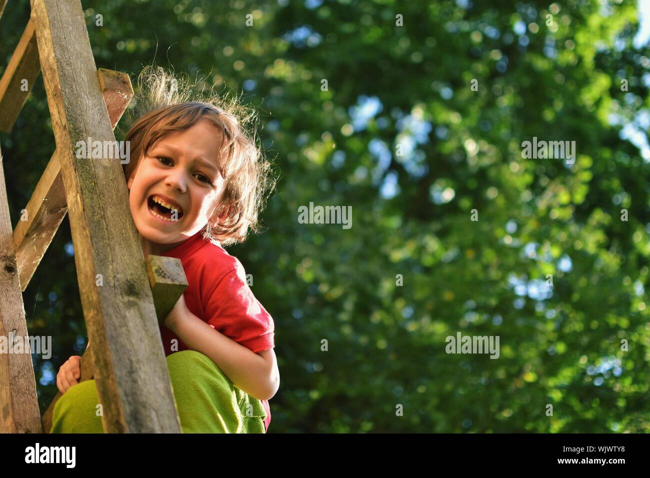 Boy on the ladder hi-res stock photography and images - Alamy