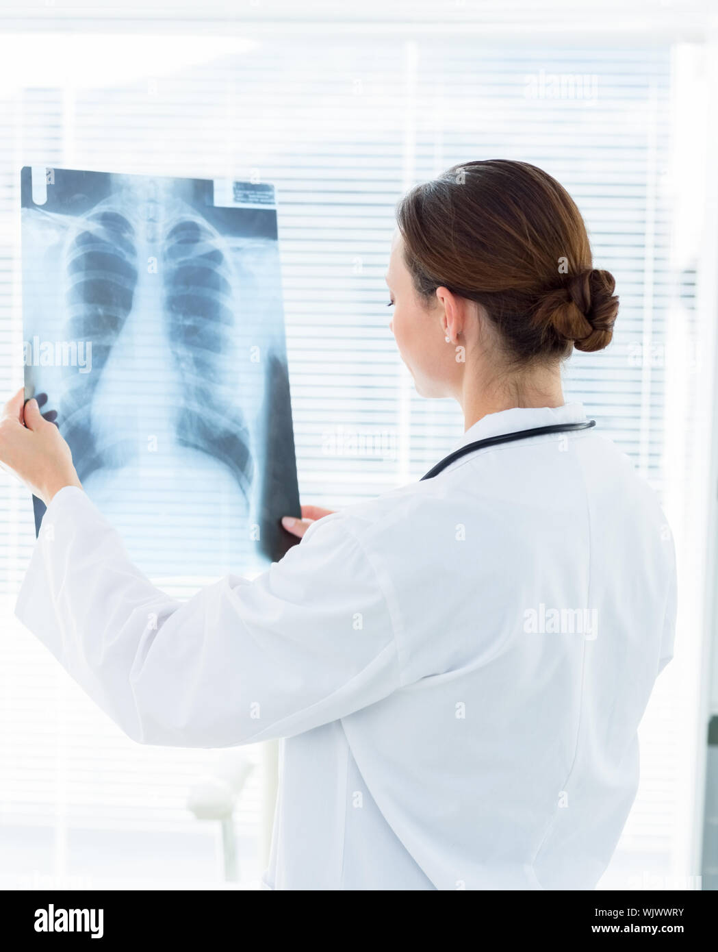 Rear view of female doctor analyzing Xray report in clinic Stock Photo ...