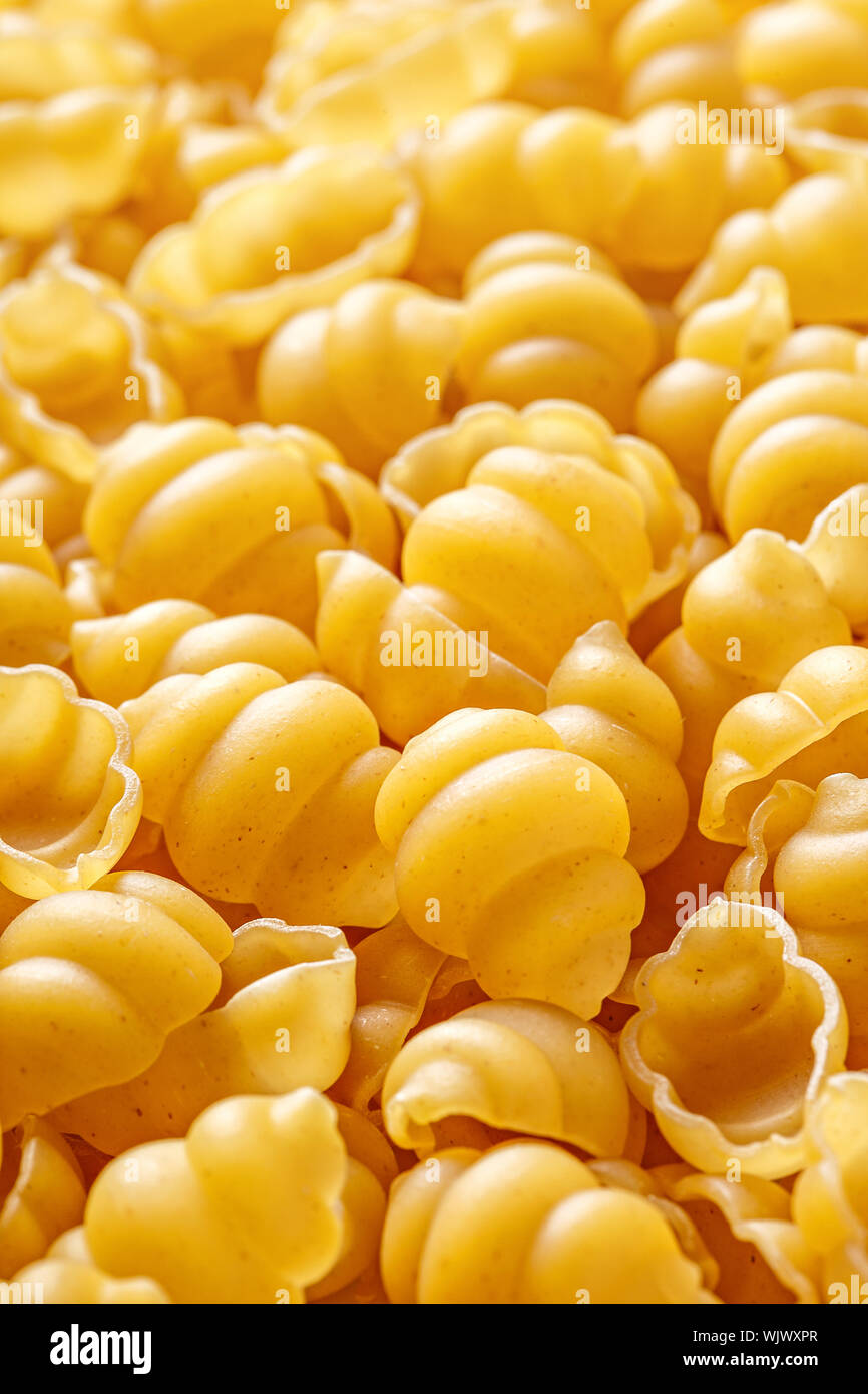Conchiglie hi-res stock photography and images - Alamy