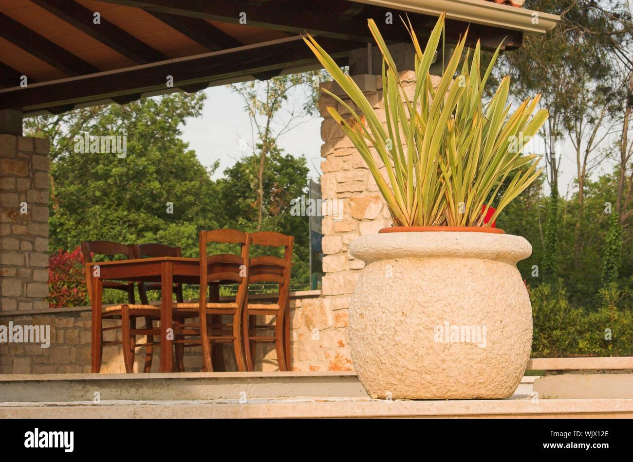 Teracotta pot hi-res stock photography and images - Alamy