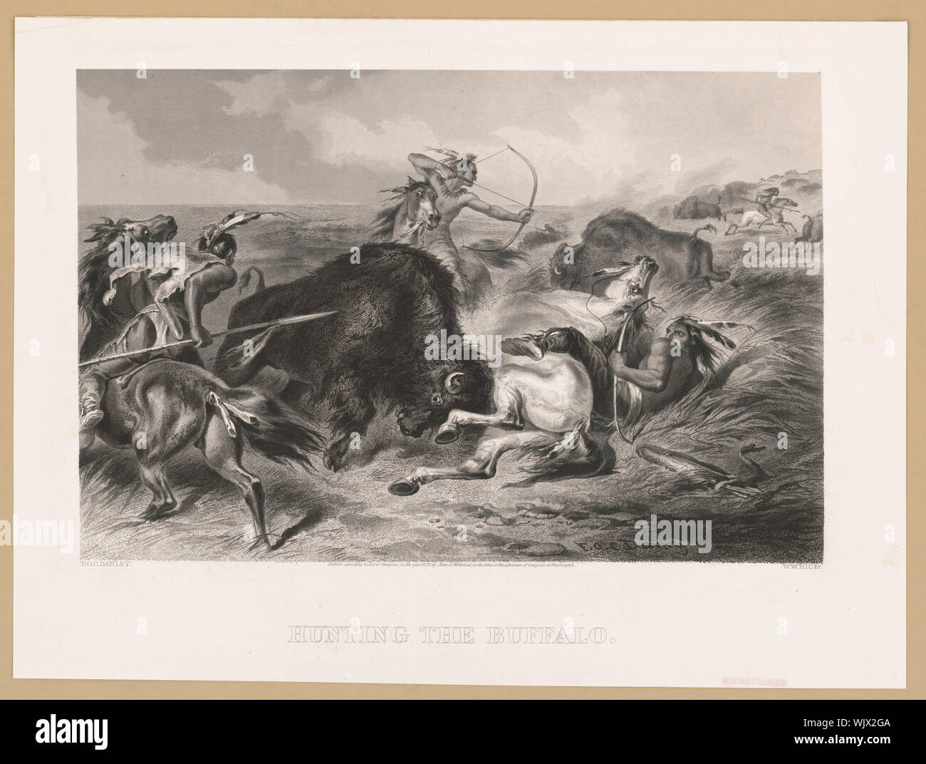 American settlers hunting buffalo hi-res stock photography and images ...