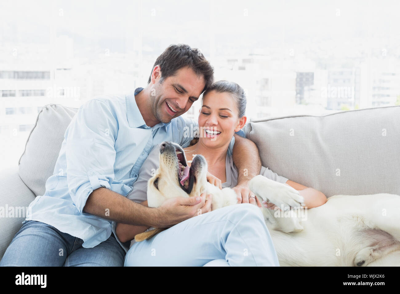 Happy couple petting their yellow labrador on the couch at home in the ...