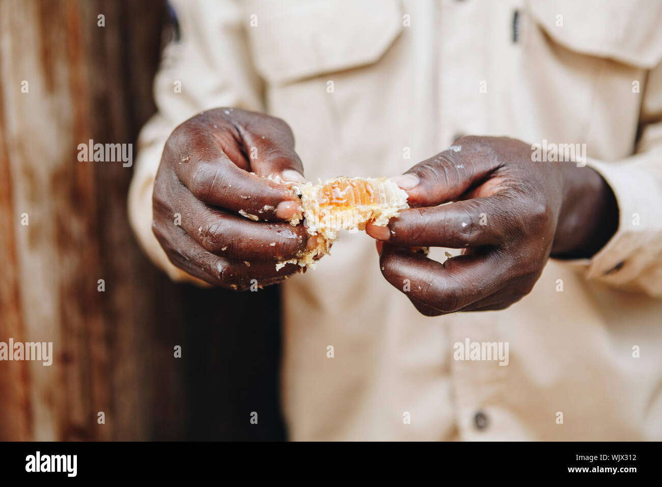 Human beehive hi-res stock photography and images - Alamy