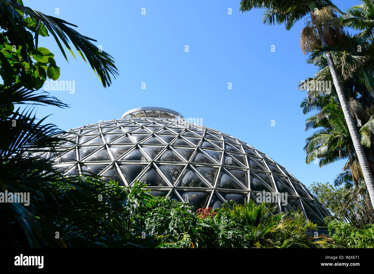 Glass dome display hi-res stock photography and images - Alamy