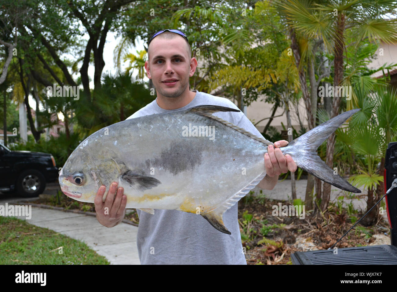 Very large fish hi-res stock photography and images - Alamy