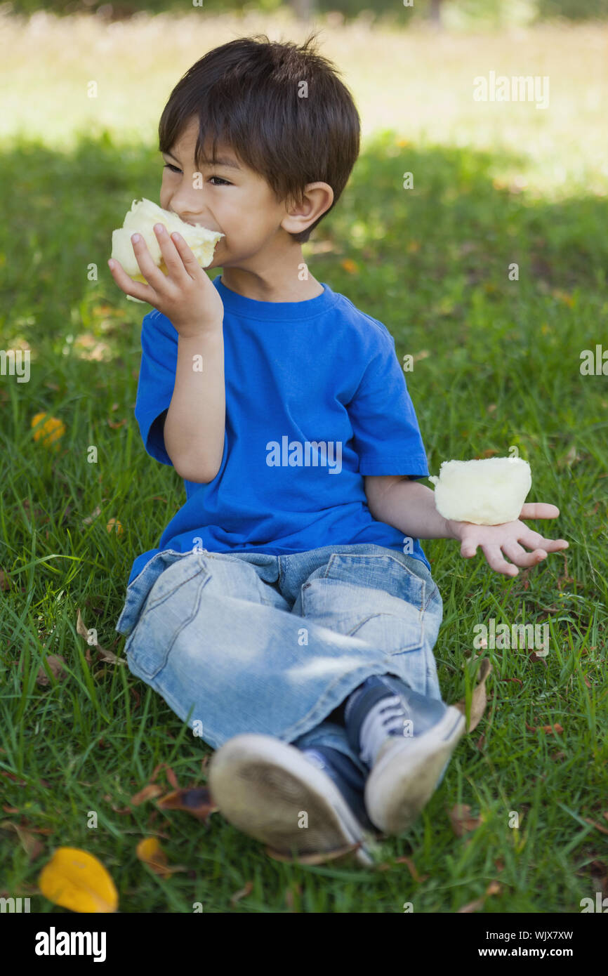 Full length of a relaxed little boy eating cotton candy at the park ...