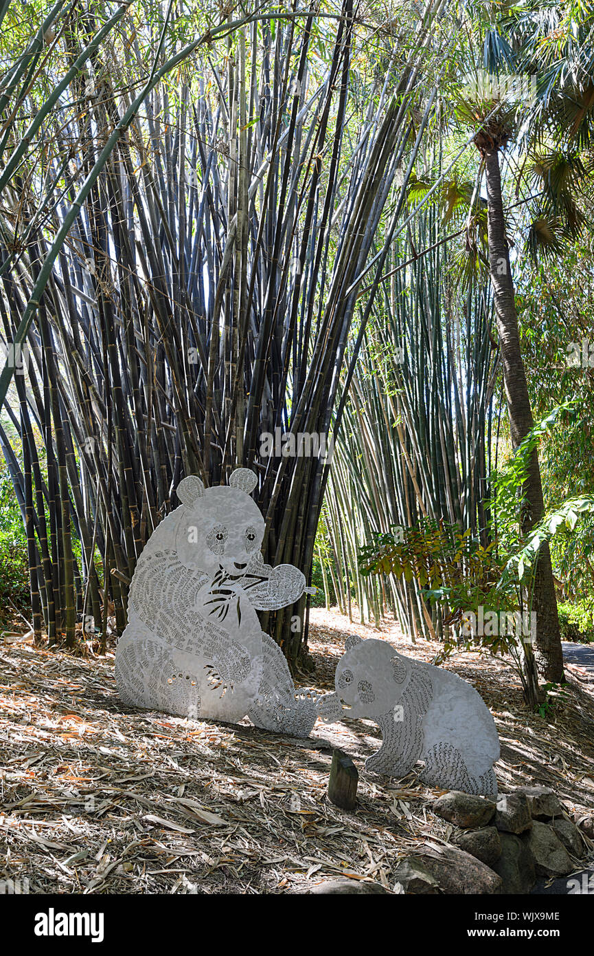 Vertical view of the bambo grove with panda cut outs at Mt Coot-tha ...