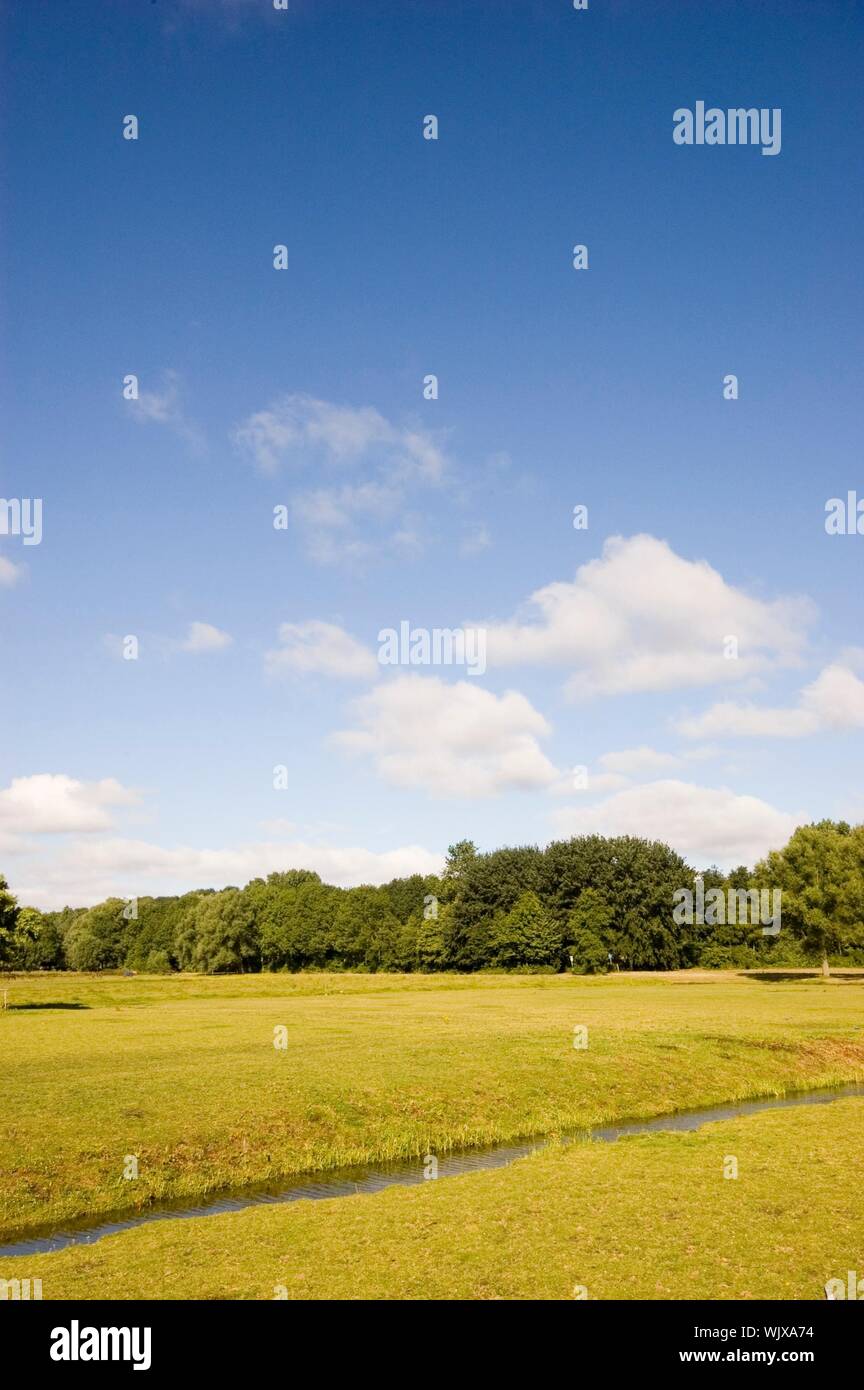 Dutch open fields hi-res stock photography and images - Alamy