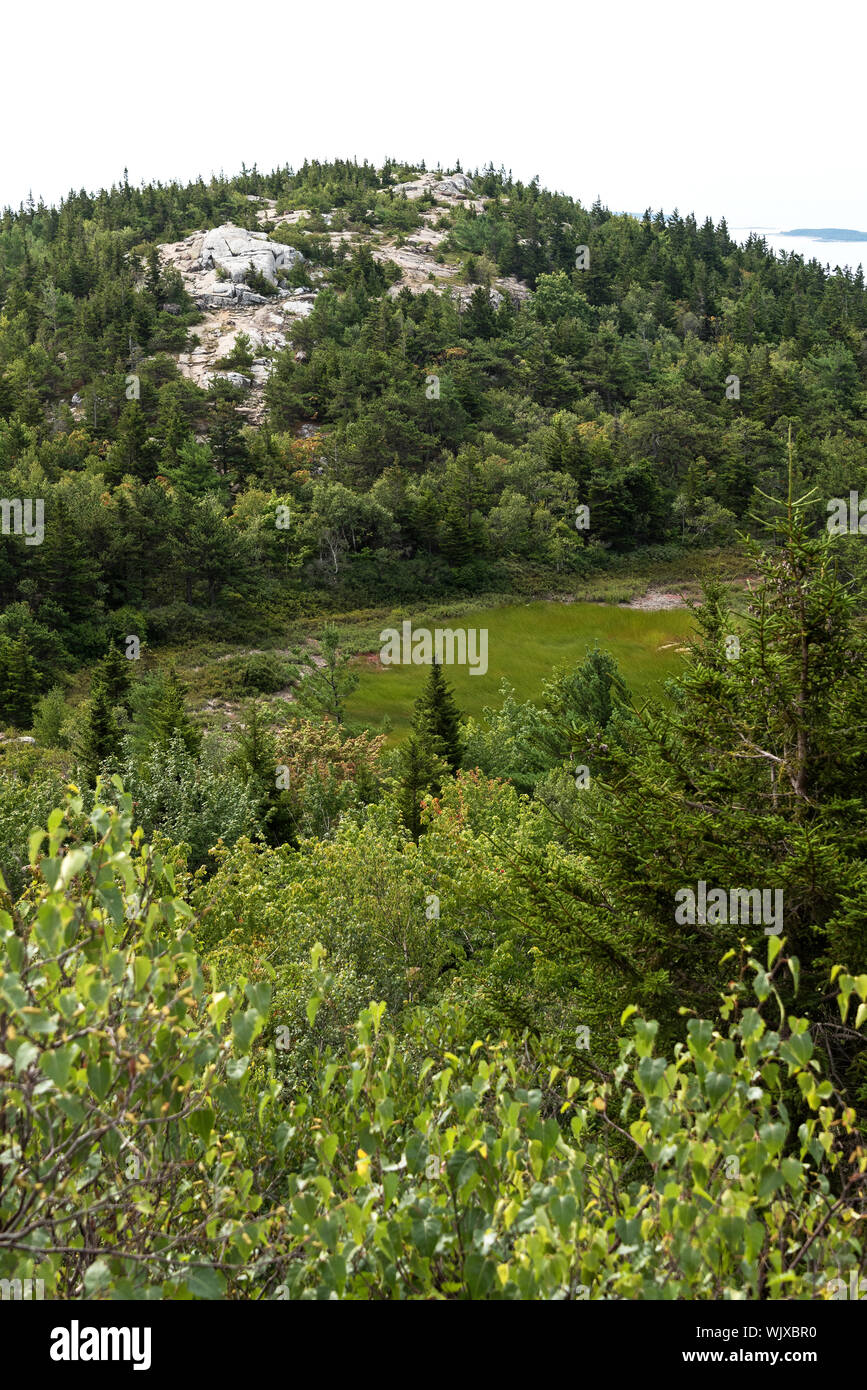 Bog island hi-res stock photography and images - Alamy
