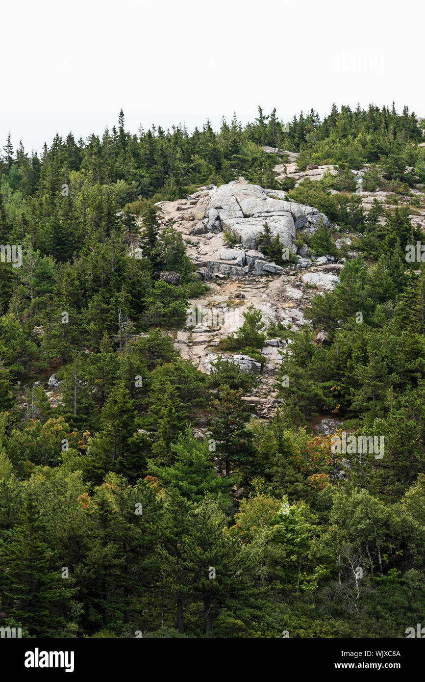 Granite ledges on the South Ridge trail of Cadillac Mountain, Acadia ...