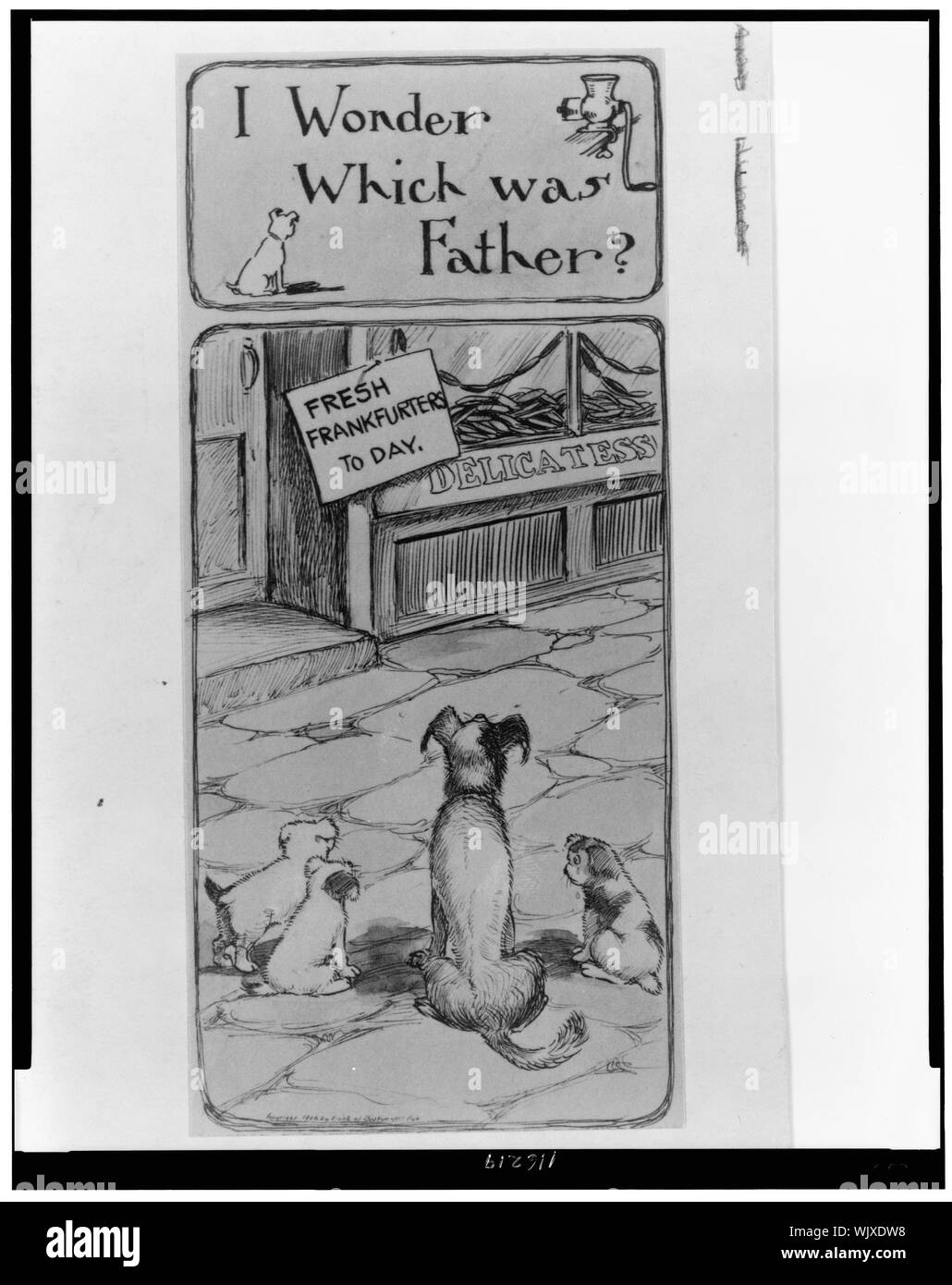 I wonder Black and White Stock Photos & Images - Alamy