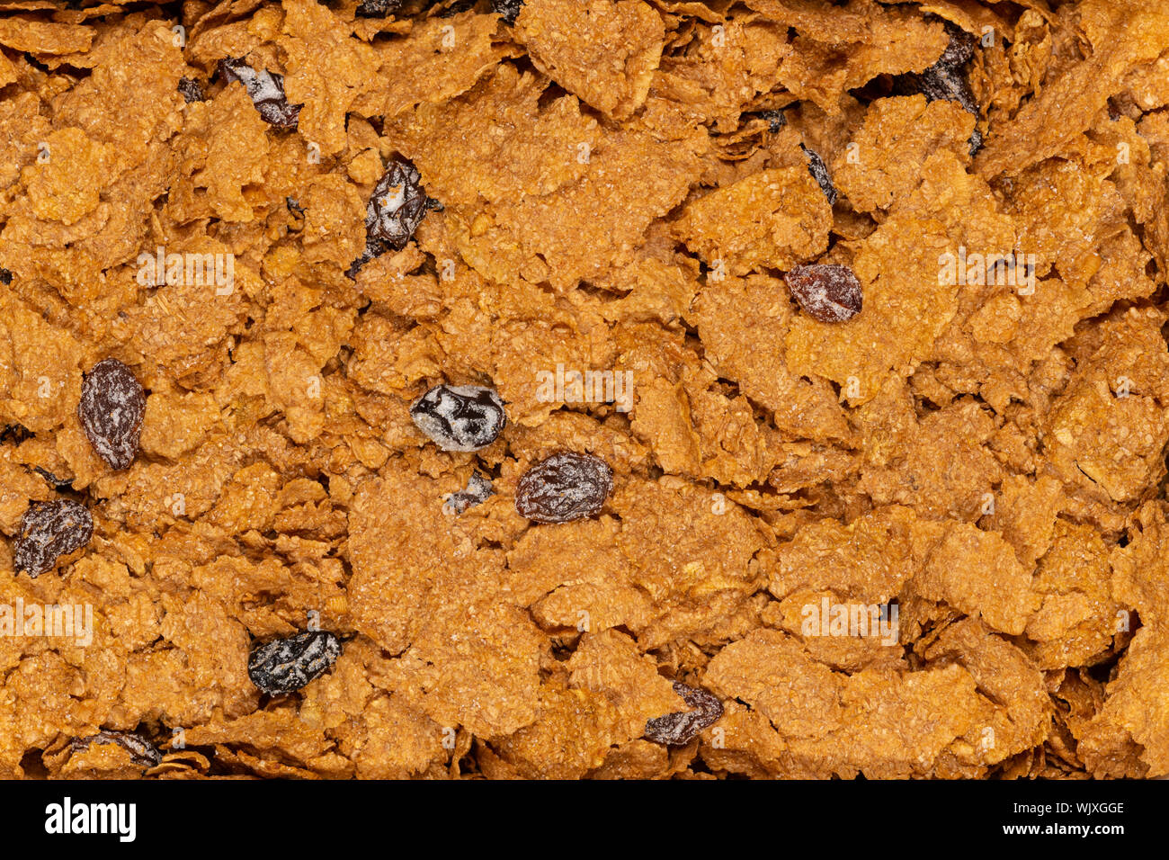 Fat particle hi-res stock photography and images - Alamy