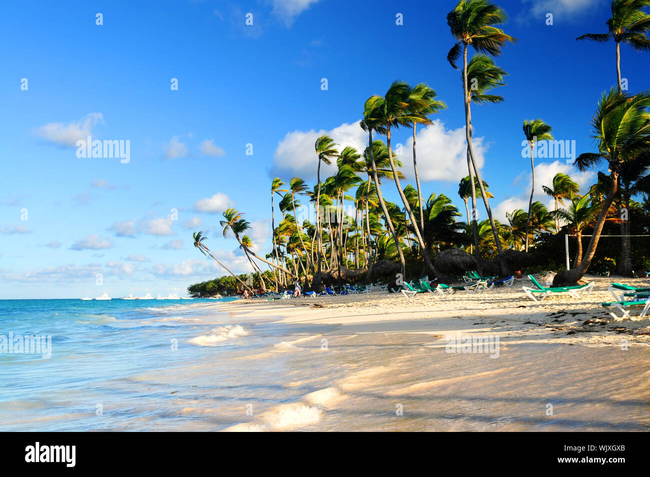 Tropical sandy beach with palm trees in Dominican republic Stock Photo ...
