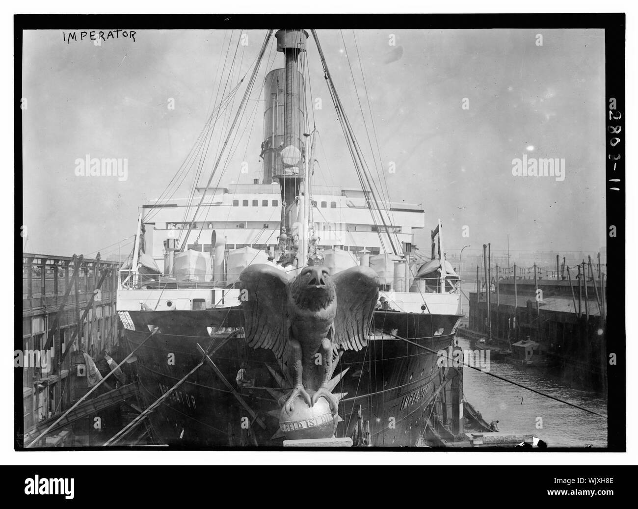 Imperator Cut Out Stock Images & Pictures - Alamy