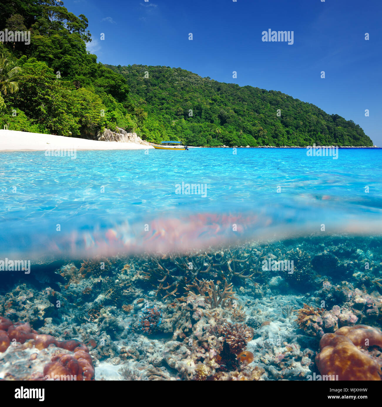 Beautiful beach with coral reef bottom underwater and above water split ...